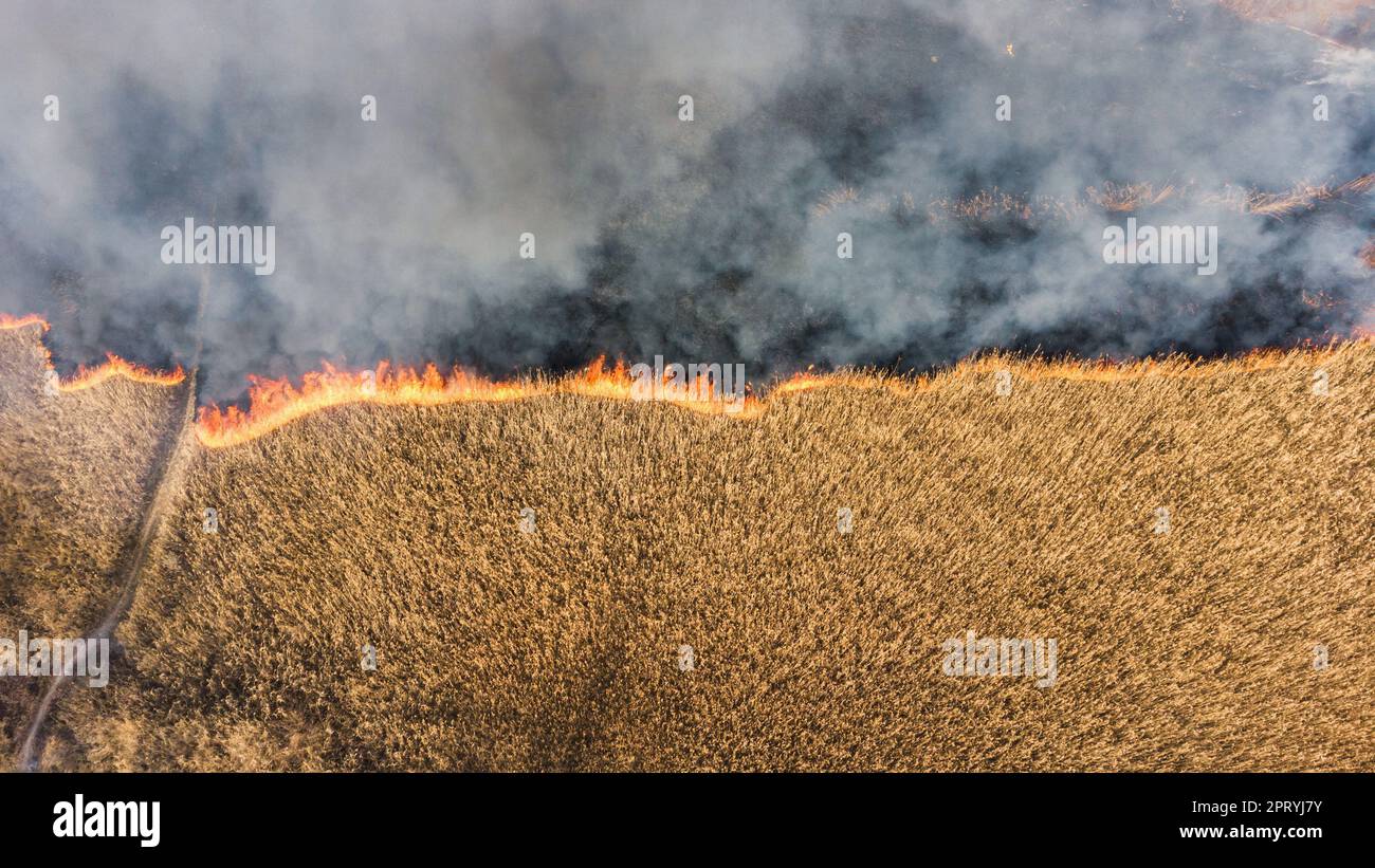 Aerial top view dry rice hi-res stock photography and images - Alamy