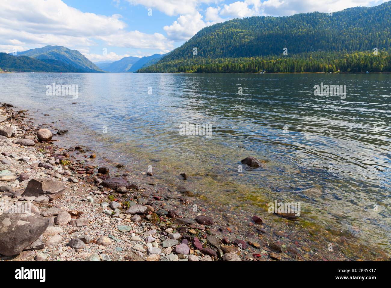 Siberian landscape with Teletskoye lake coast on a sunny summer day ...