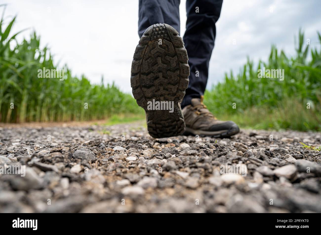 Low angle view of male feet in hiking boots stepping towards camera on ...
