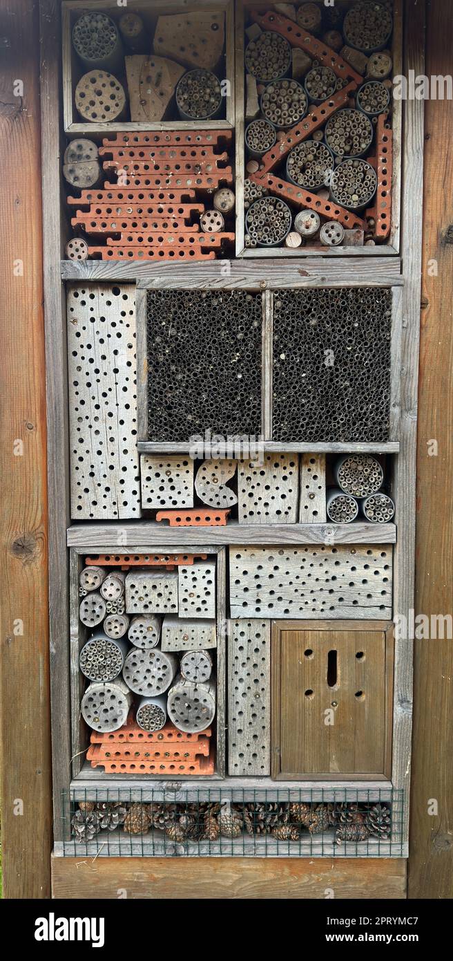 Insect hotel Bee hotel with small tubes of bamboo Stock Photo - Alamy