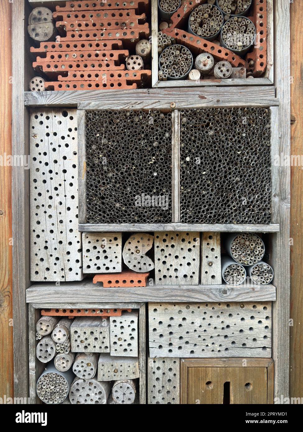 Insect hotel Bee hotel with small tubes of bamboo Stock Photo - Alamy