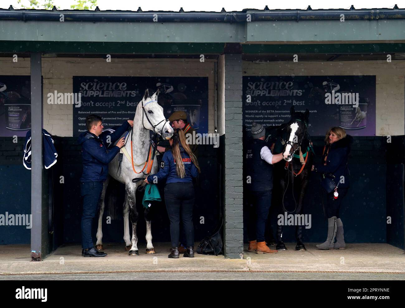 Horses in the pre-parade ring at Warwick Racecourse. Picture date ...