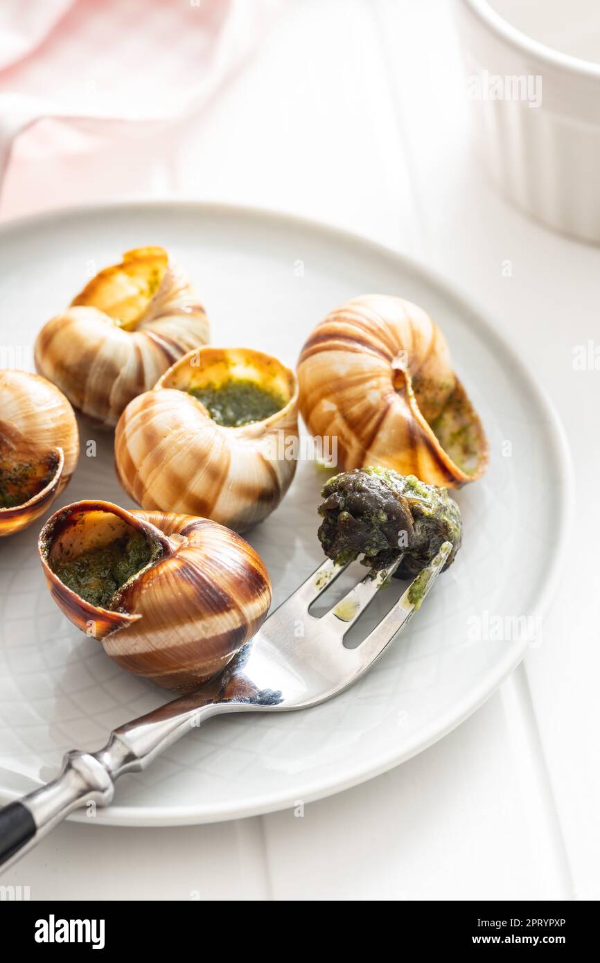 Snails with parsley butter, Bourgogne Escargot Snails on the plate ...