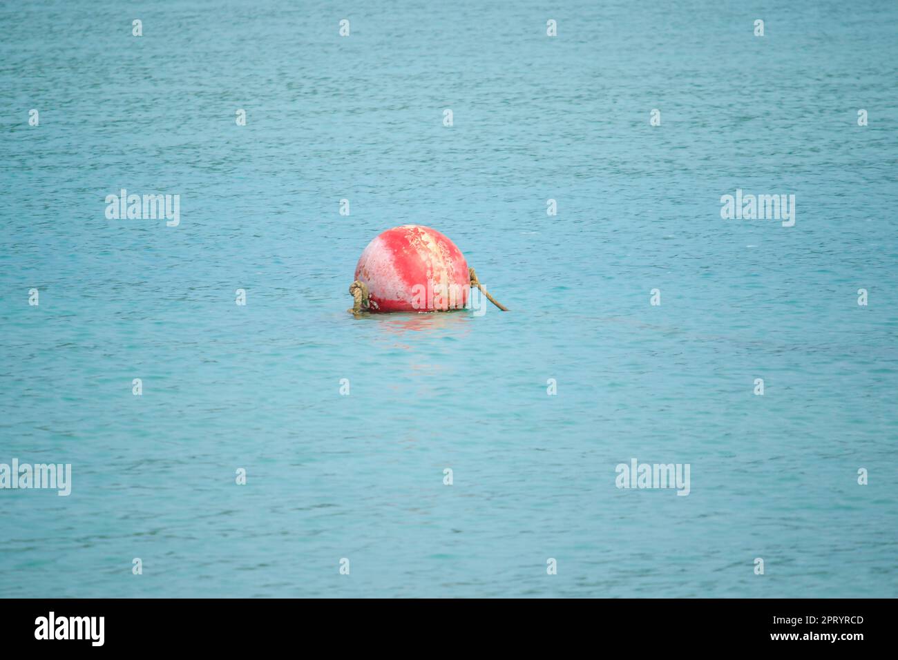 Buoy floating in the sea Used for alignment in the sea Stock Photo - Alamy