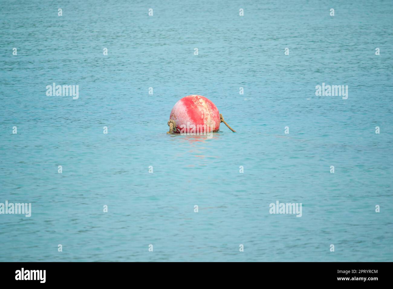 Buoy floating in the sea Used for alignment in the sea Stock Photo - Alamy