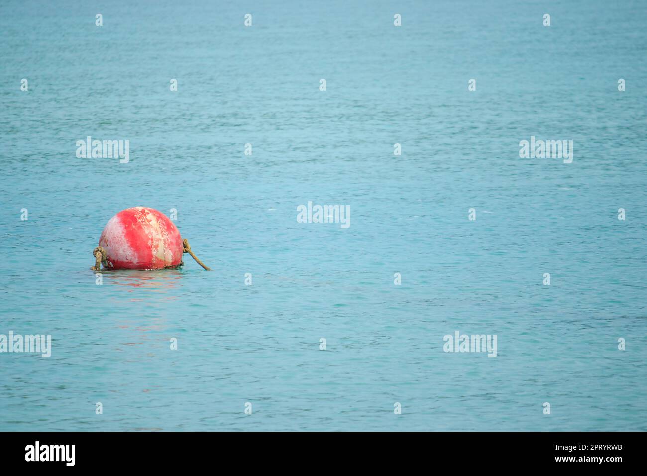 Buoy floating in the sea Used for alignment in the sea Stock Photo - Alamy