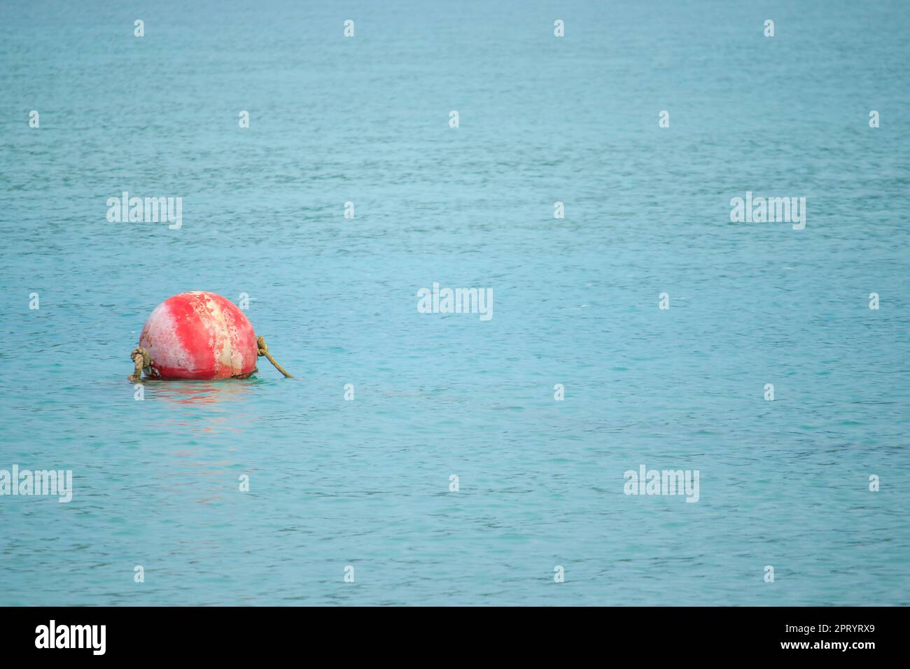 Buoy floating in the sea Used for alignment in the sea Stock Photo - Alamy
