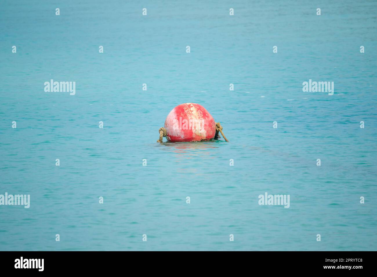 Buoy floating in the sea Used for alignment in the sea Stock Photo - Alamy
