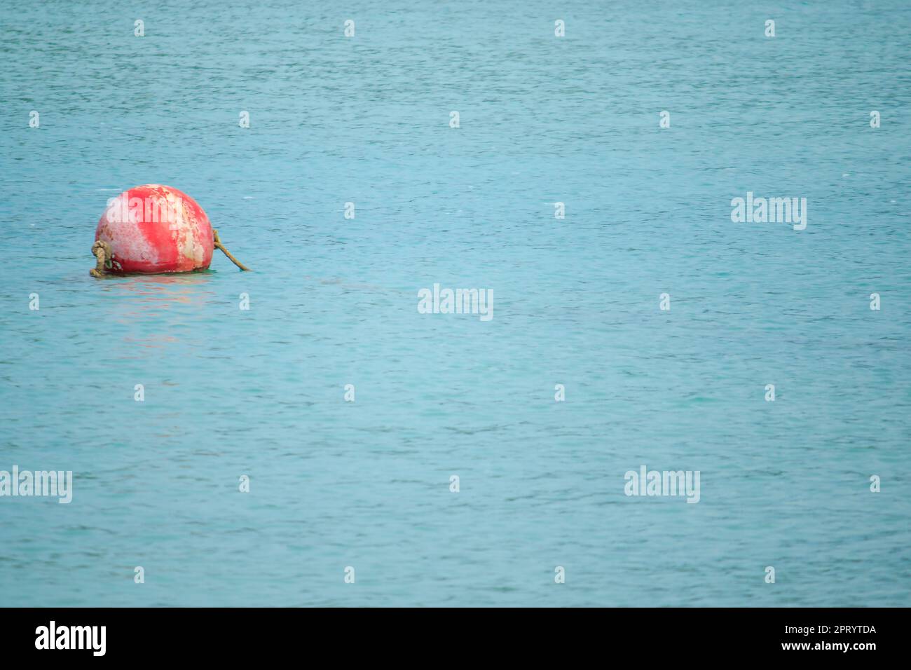 Buoy floating in the sea Used for alignment in the sea Stock Photo - Alamy