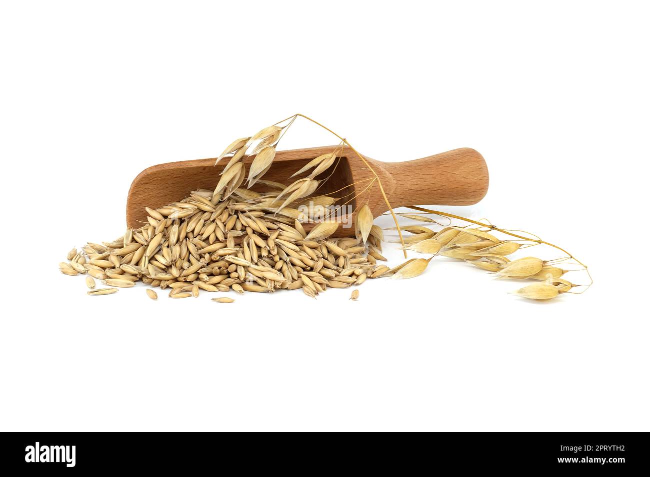 Heap of organic oat grains with hulls or husks in wooden scoop isolated ...