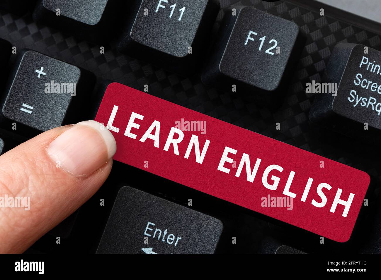 Inspiration showing sign Learn English, Business overview to train ...