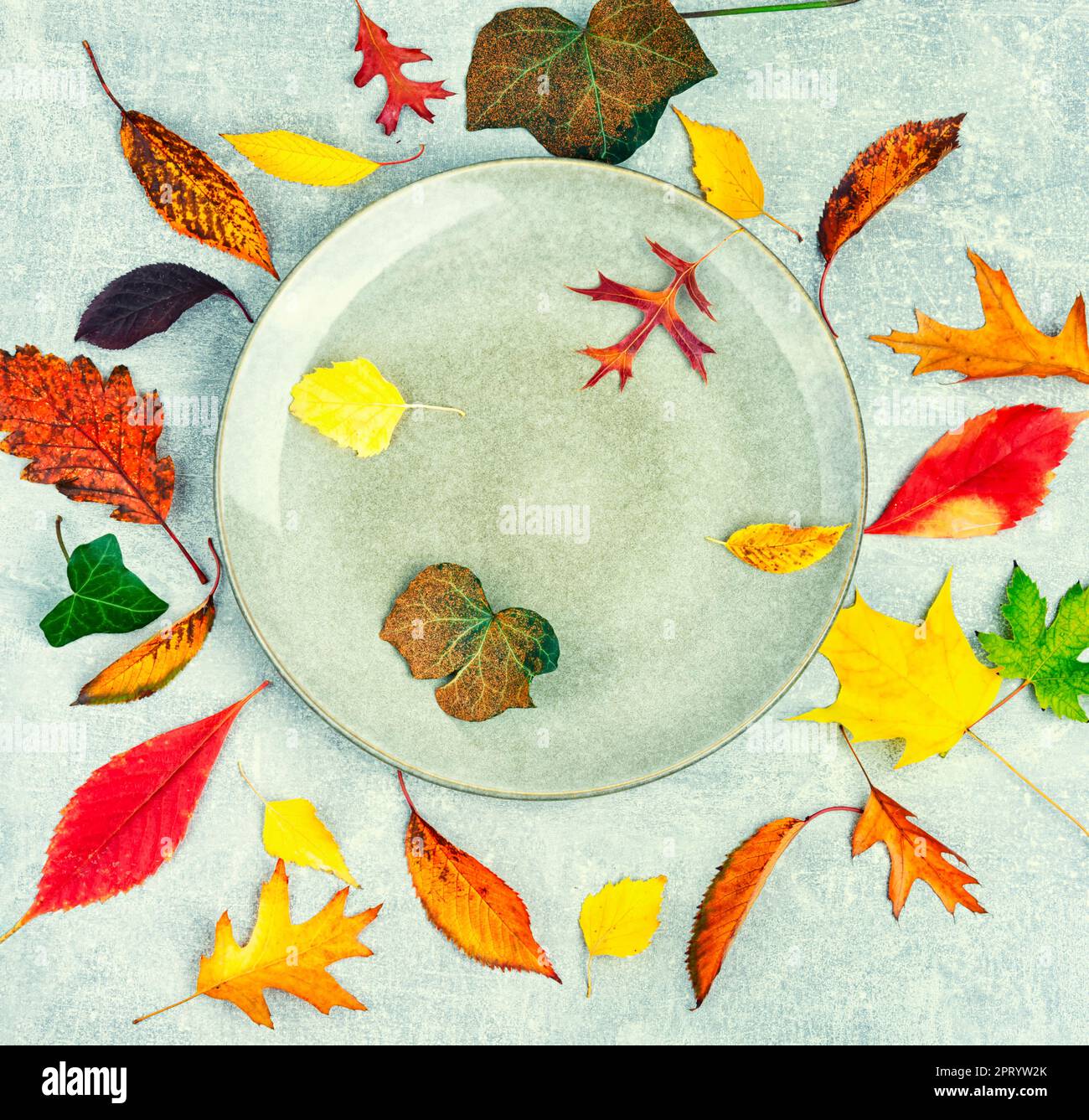 Herbarium plate hi-res stock photography and images - Alamy