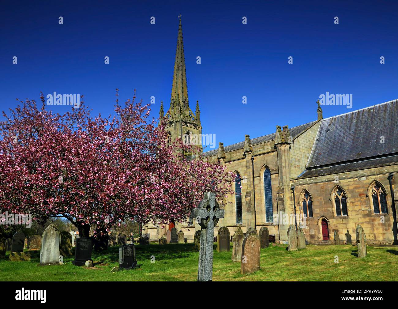 Cherry Tree in Graveyard #2 Stock Photo - Alamy