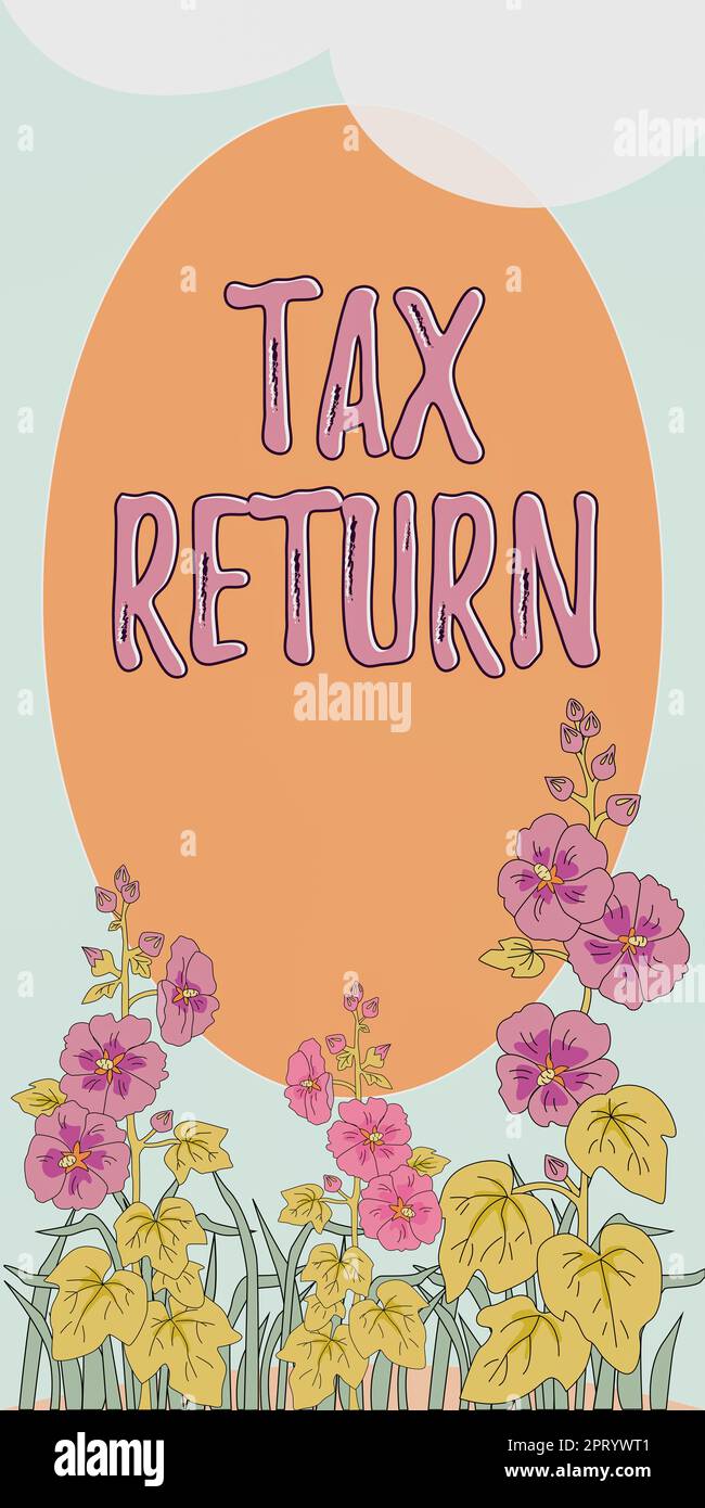 Hand writing sign Tax Return, Conceptual photo which taxpayer makes ...