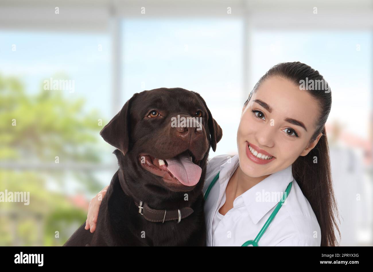 Dog computer clock hi-res stock photography and images - Alamy