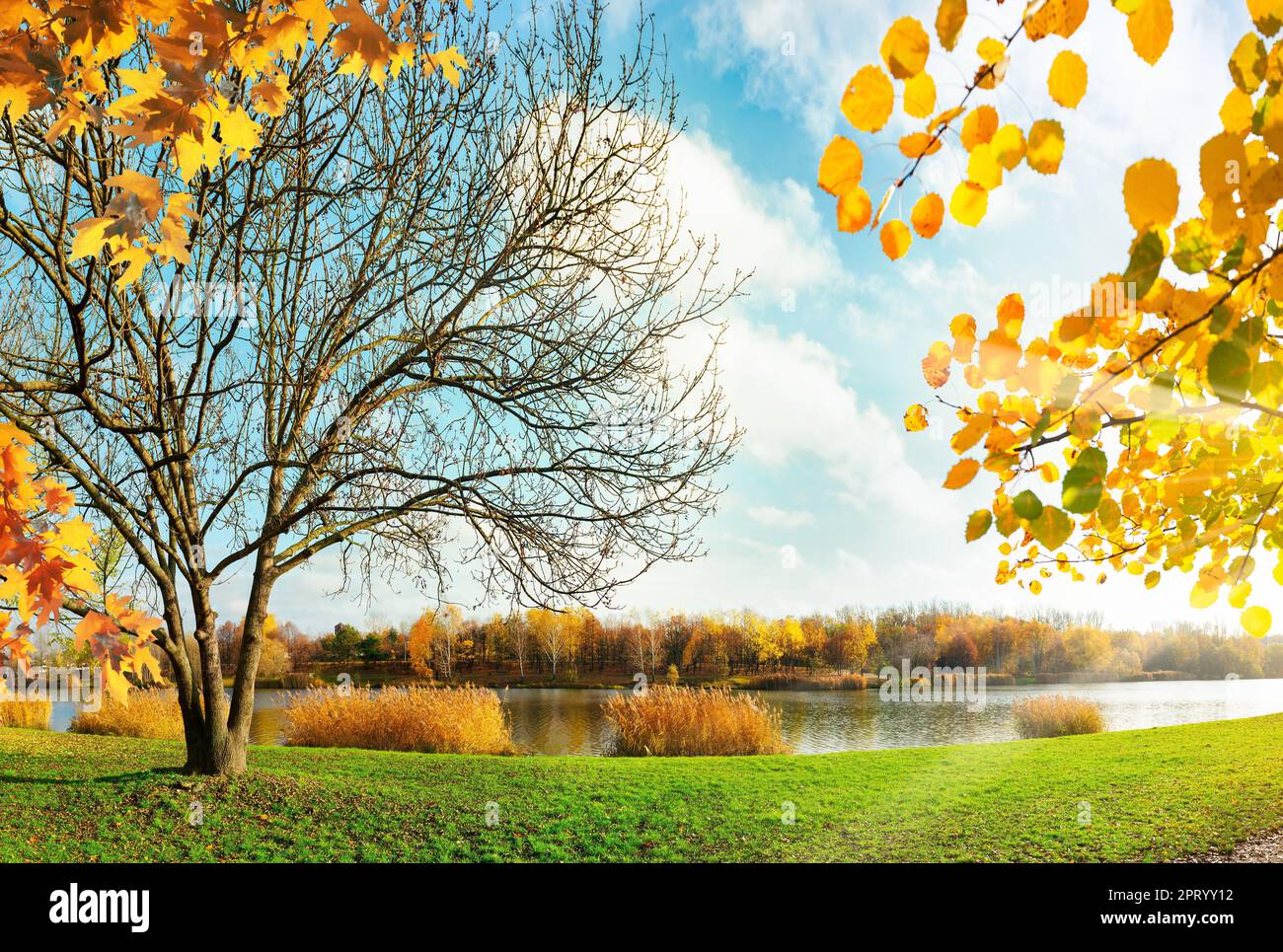 Katowice forest park hi-res stock photography and images - Alamy