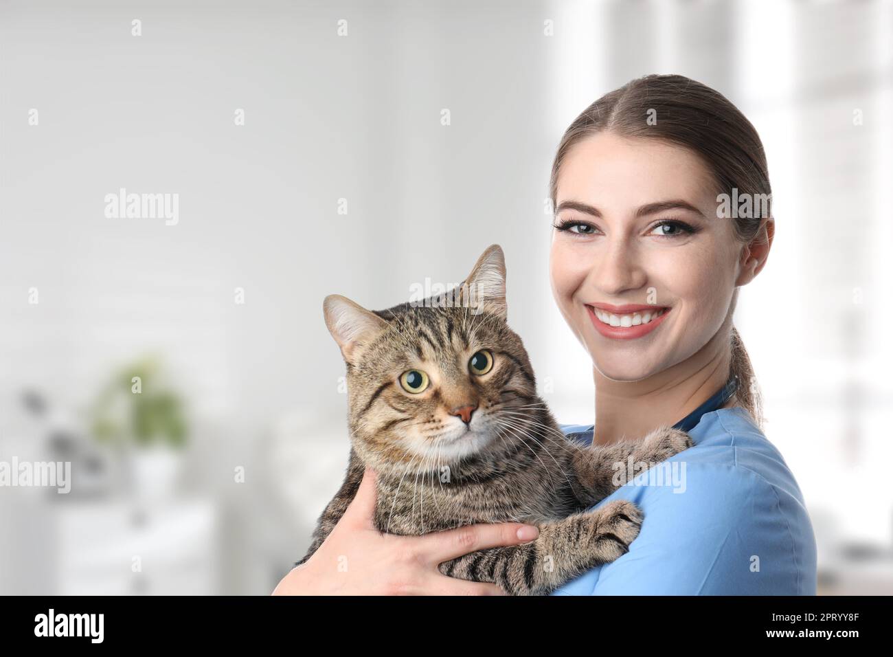 Veterinarian center hi-res stock photography and images - Alamy