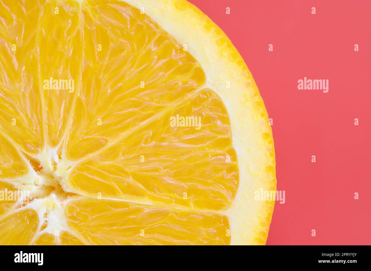 Top view of a one orange fruit slice on bright background in red color ...