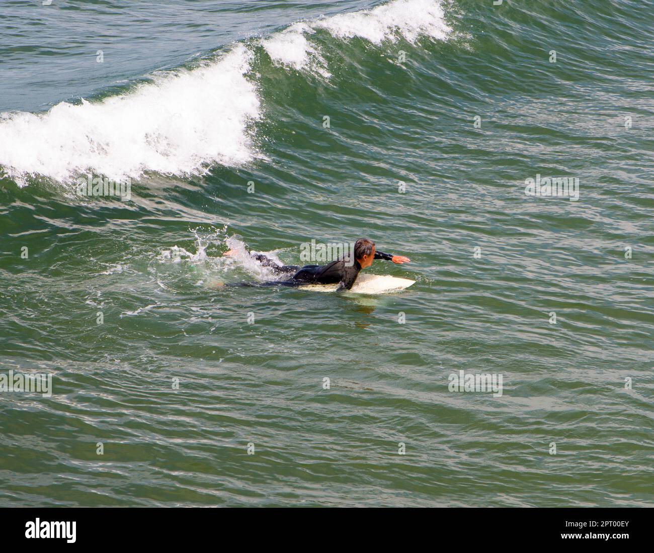 Surfer in wetsuit trying catch hi-res stock photography and images - Alamy