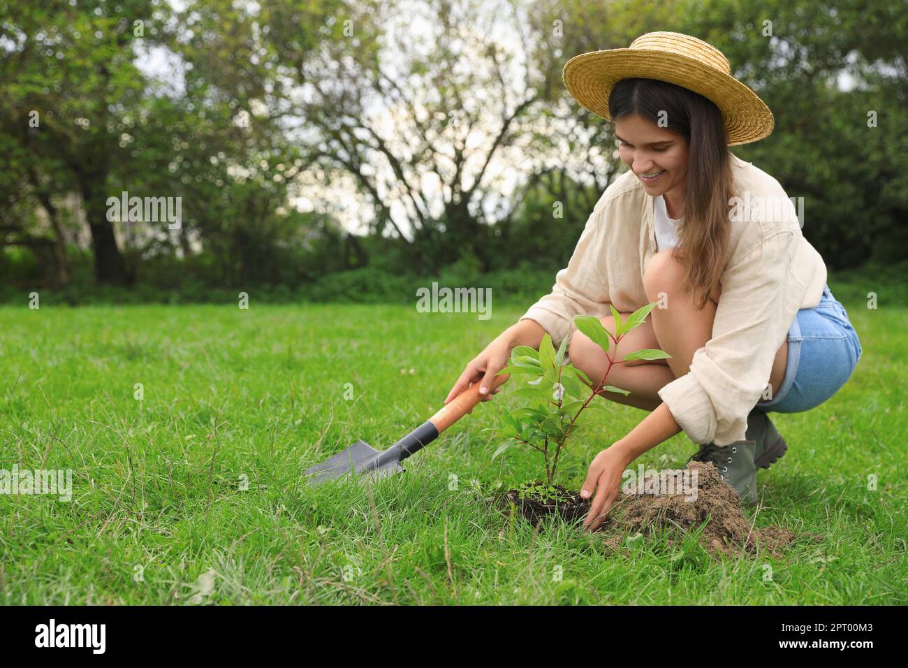 Woman planting tree hi-res stock photography and images - Alamy
