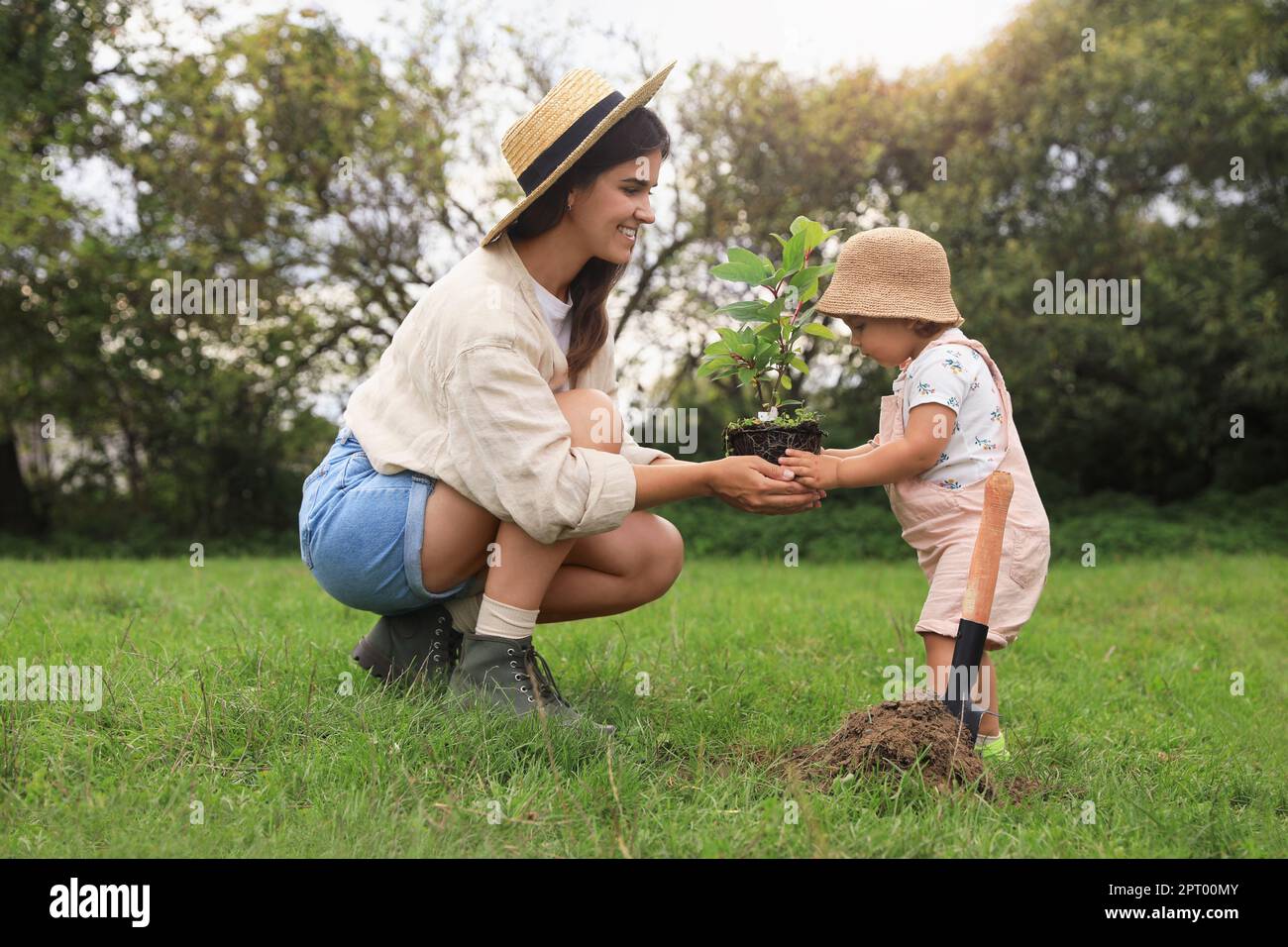 Mother and her baby daughter planting tree together in garden Stock ...