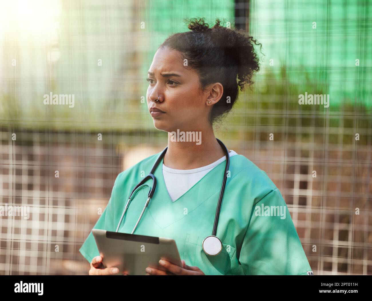 Veterinary inspection hi-res stock photography and images - Alamy