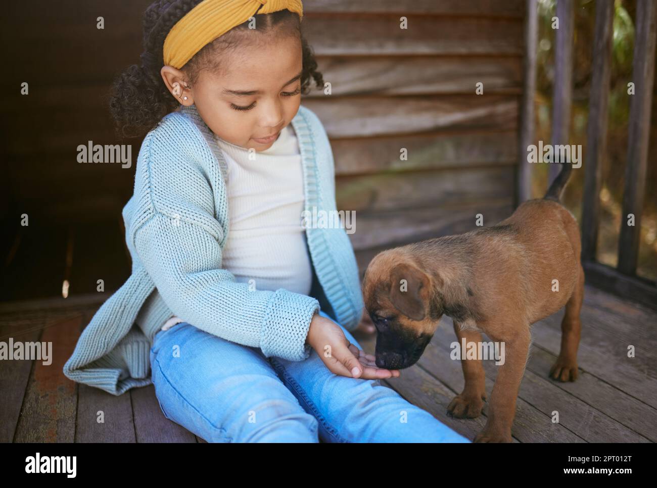Child, puppy dog and smell hand for trust, friendship and love of new ...