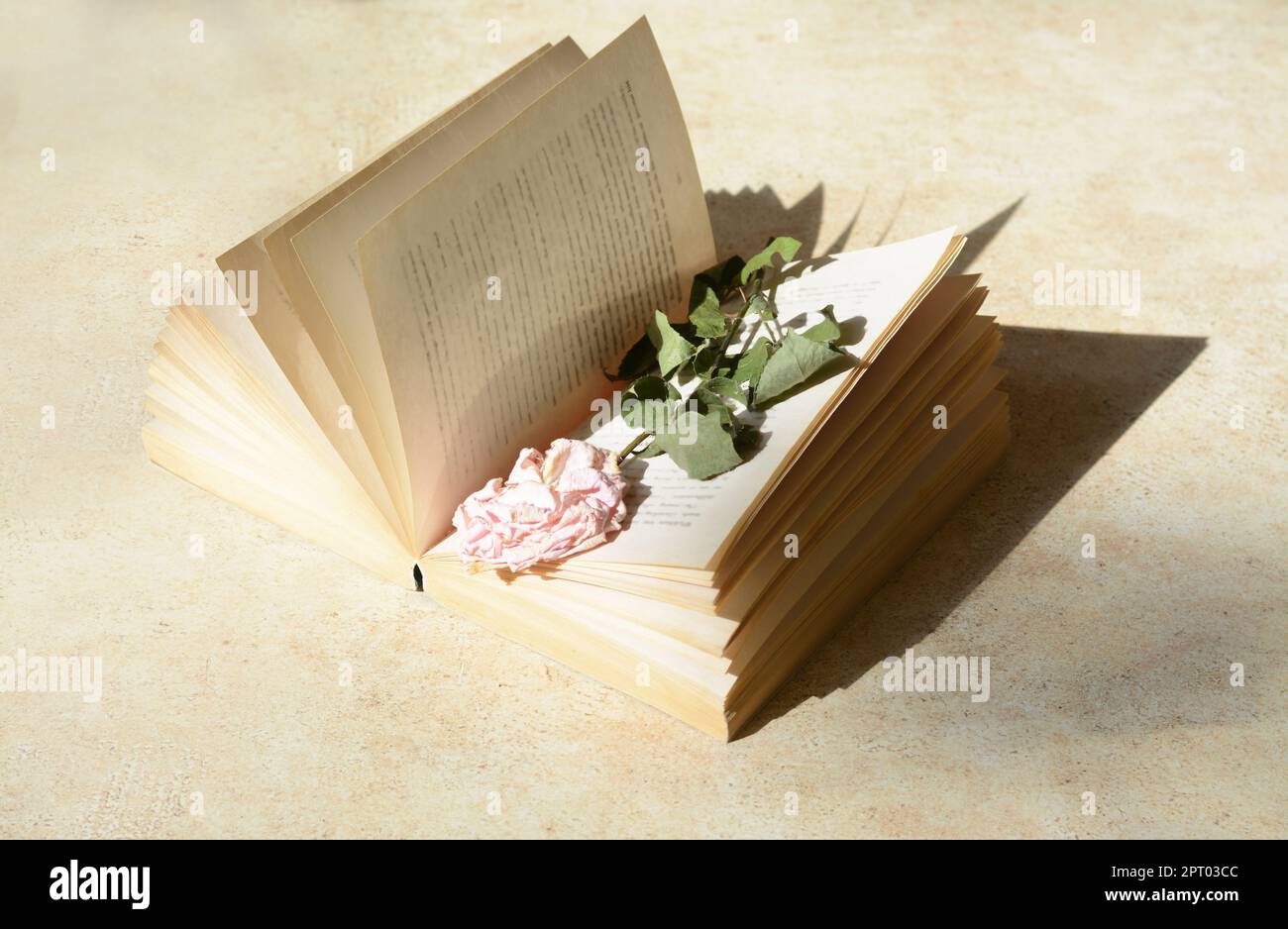 Pressed leaf book hi-res stock photography and images - Alamy