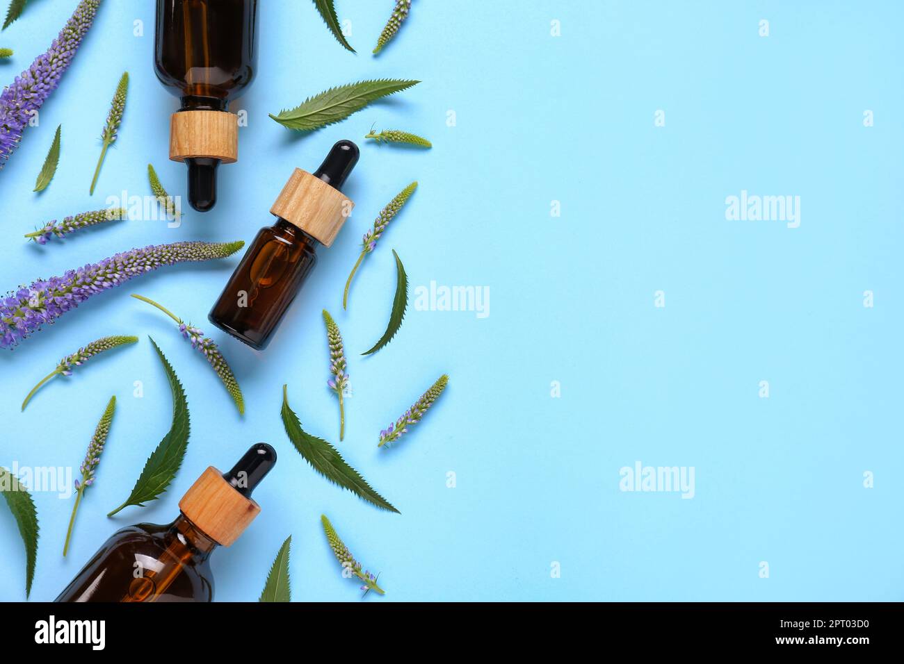 Bottles of essential oil, flowers and leaves on light blue background ...