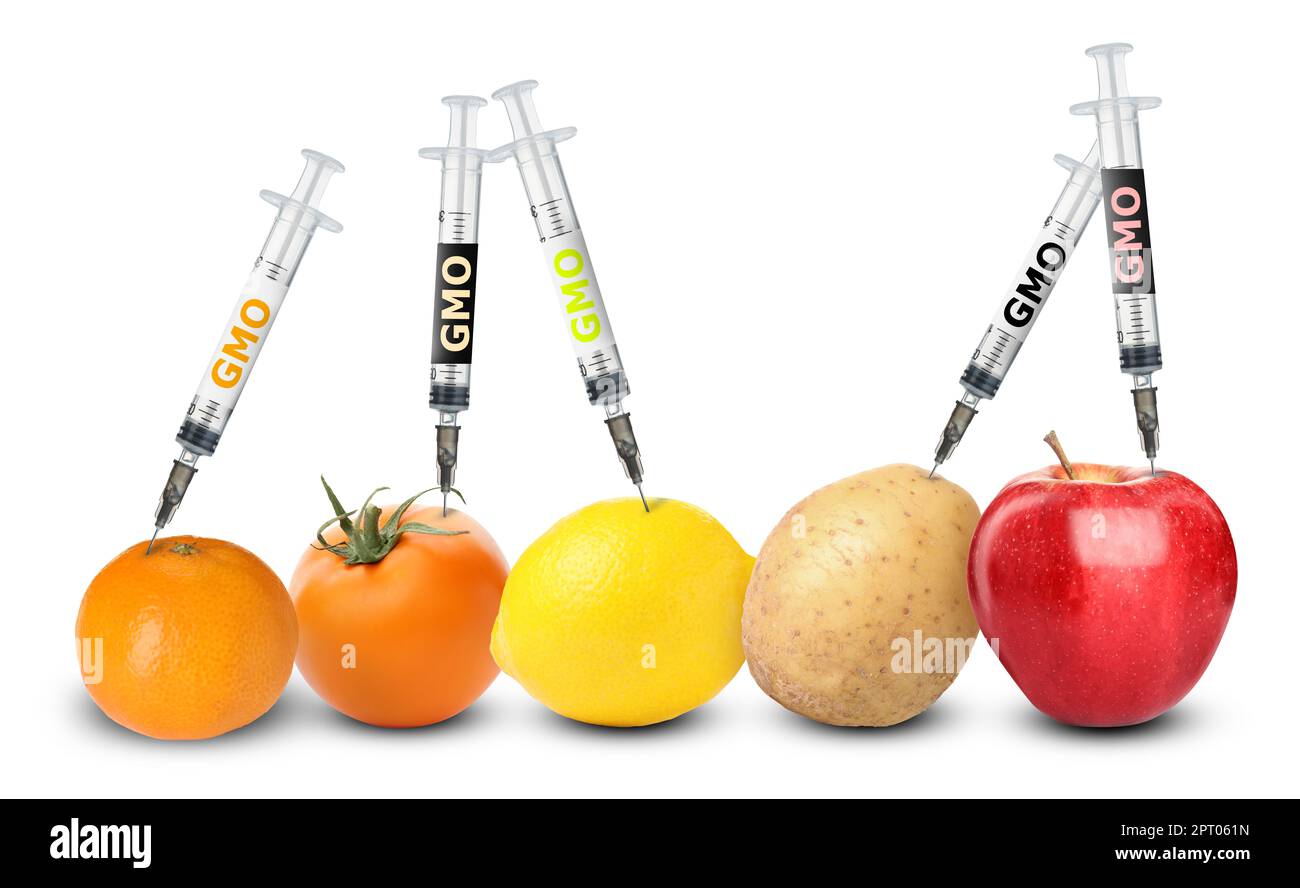 Syringes with labels GMO in different fruits and vegetables on white ...