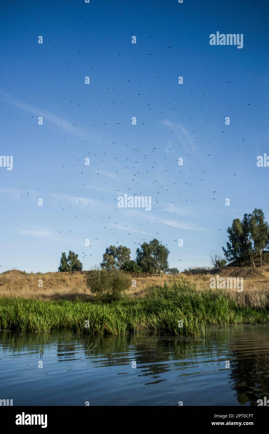 Water borne diseases hi-res stock photography and images - Alamy