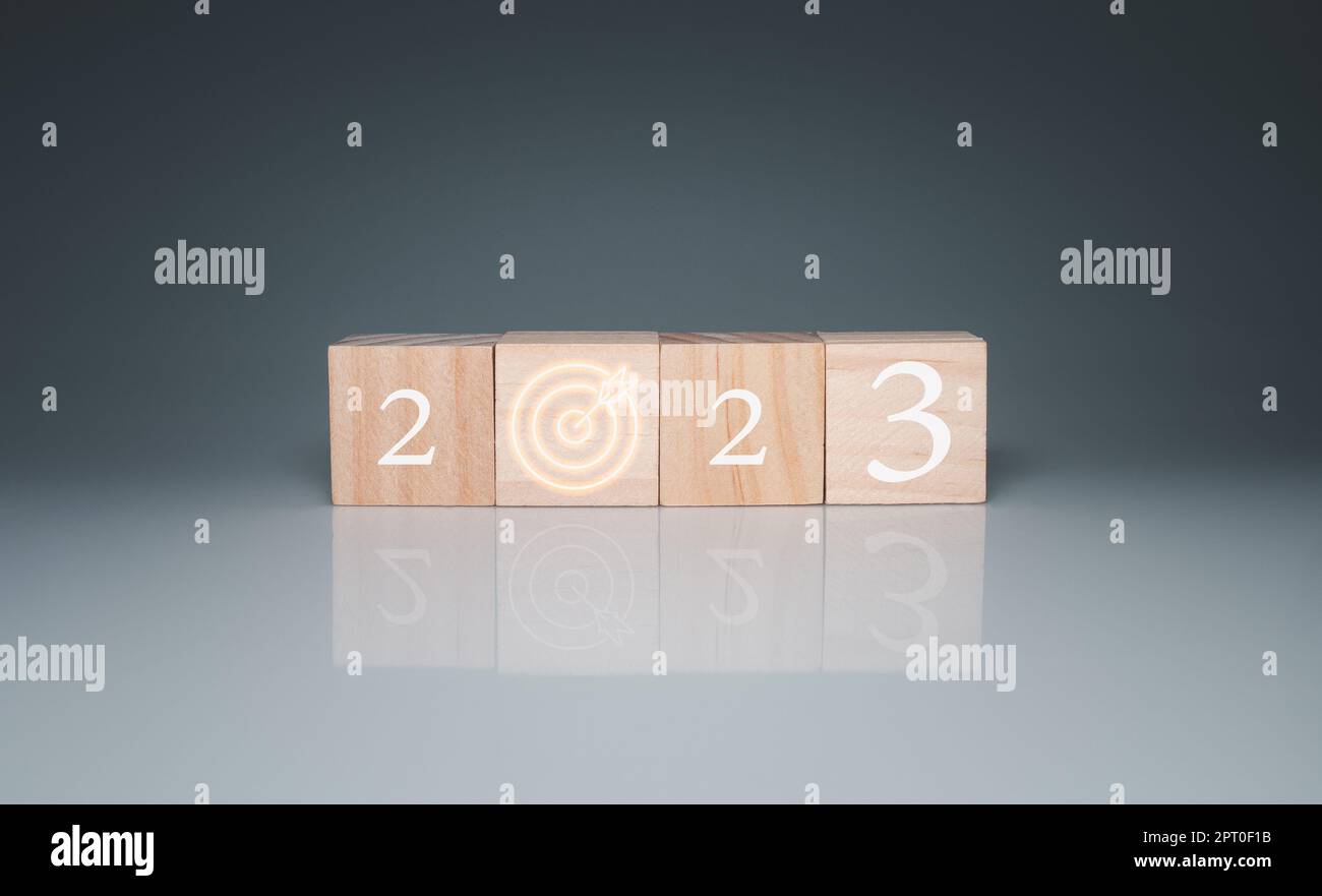 Wooden blocks lined up with the letters 2023. Represents the goal ...
