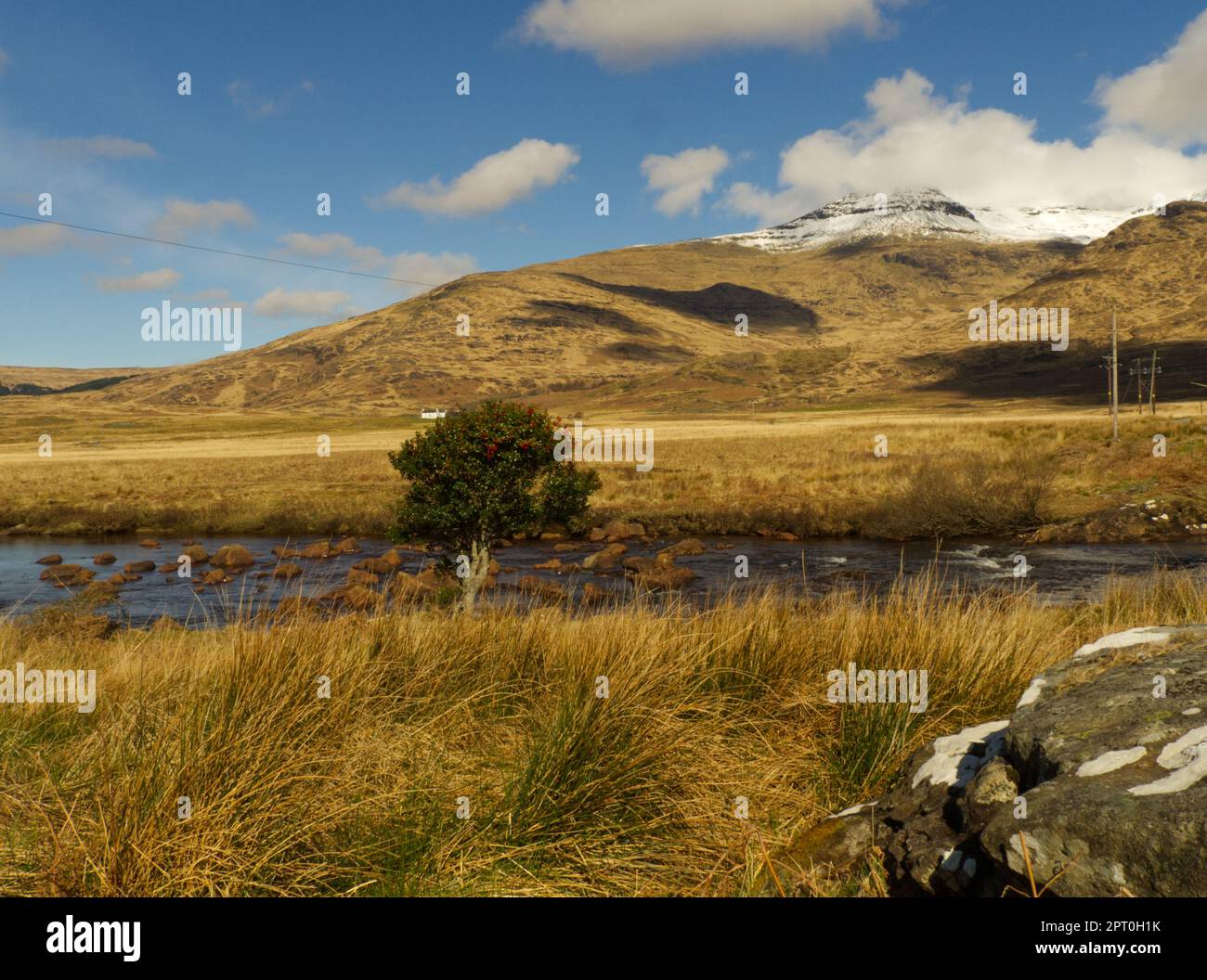 Isle of Mull An Leth Fhonn looking to Ben More Stock Photo - Alamy