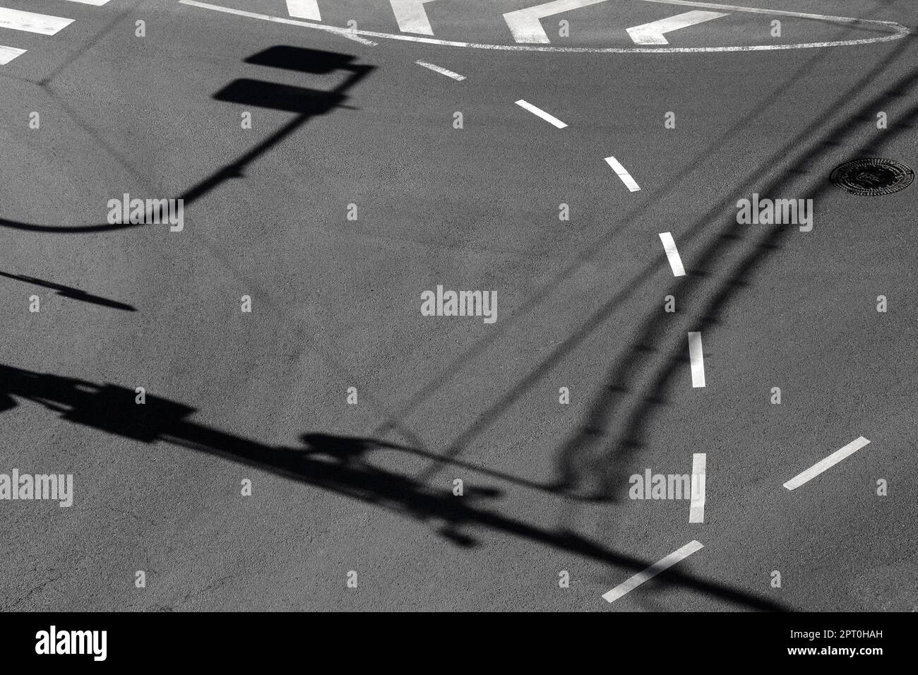 Road markings with shadows of traffic light, signs and electric power ...