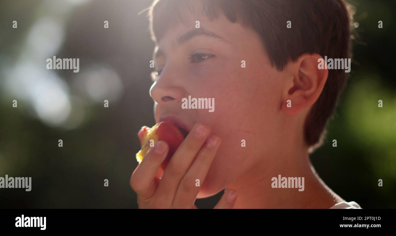 Young boy eating healthy fruit snack outdoors in the sunlight in picnic ...