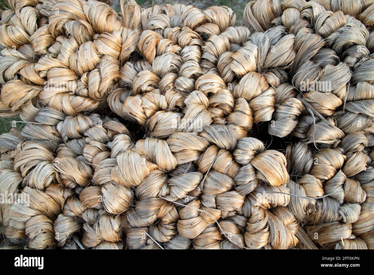 thick brown bundle of raw jute fiber Texture Background Stock Photo - Alamy