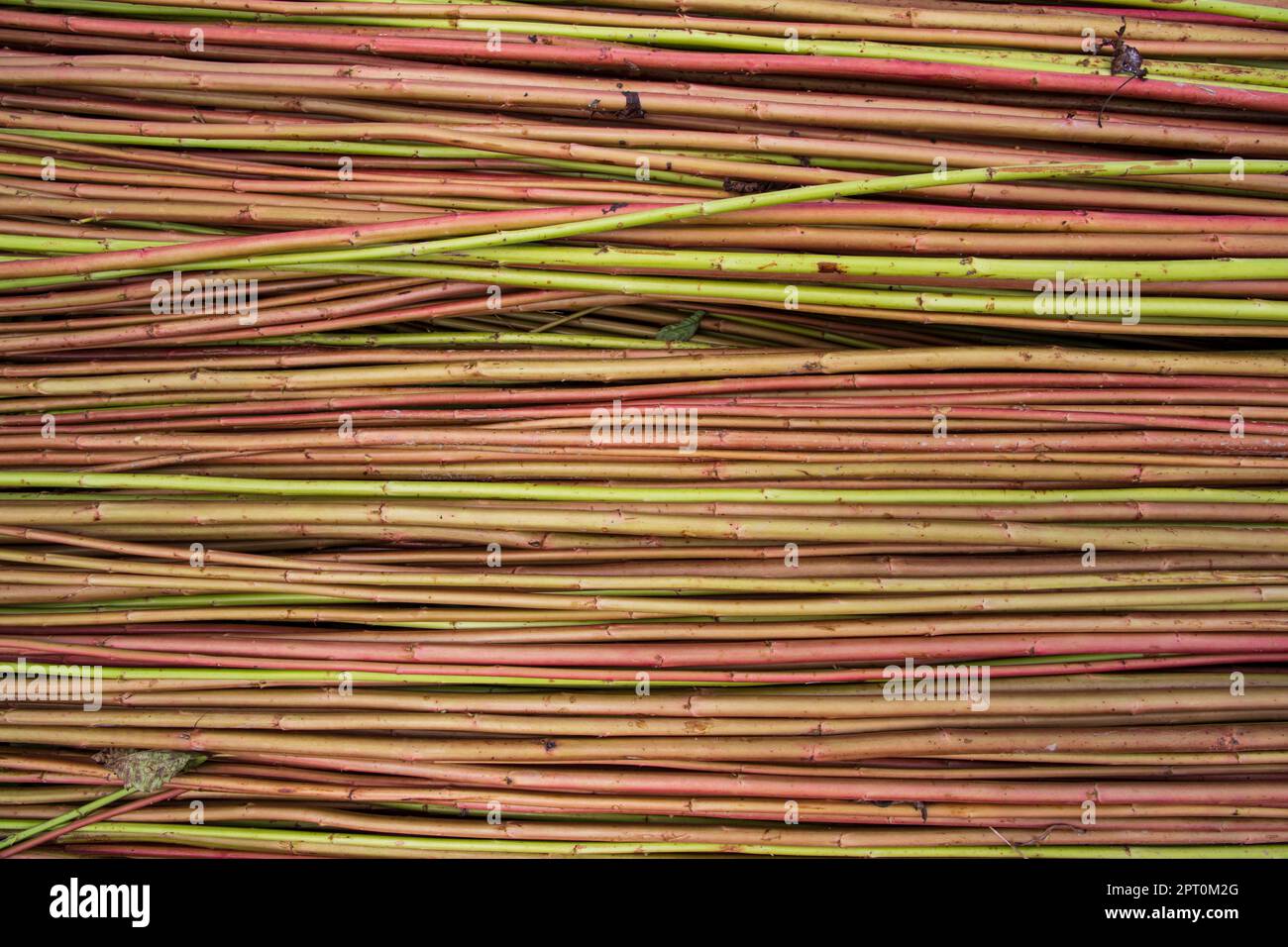 Red Green Raw Jute Texture background. This is the Called Golden Fiber ...