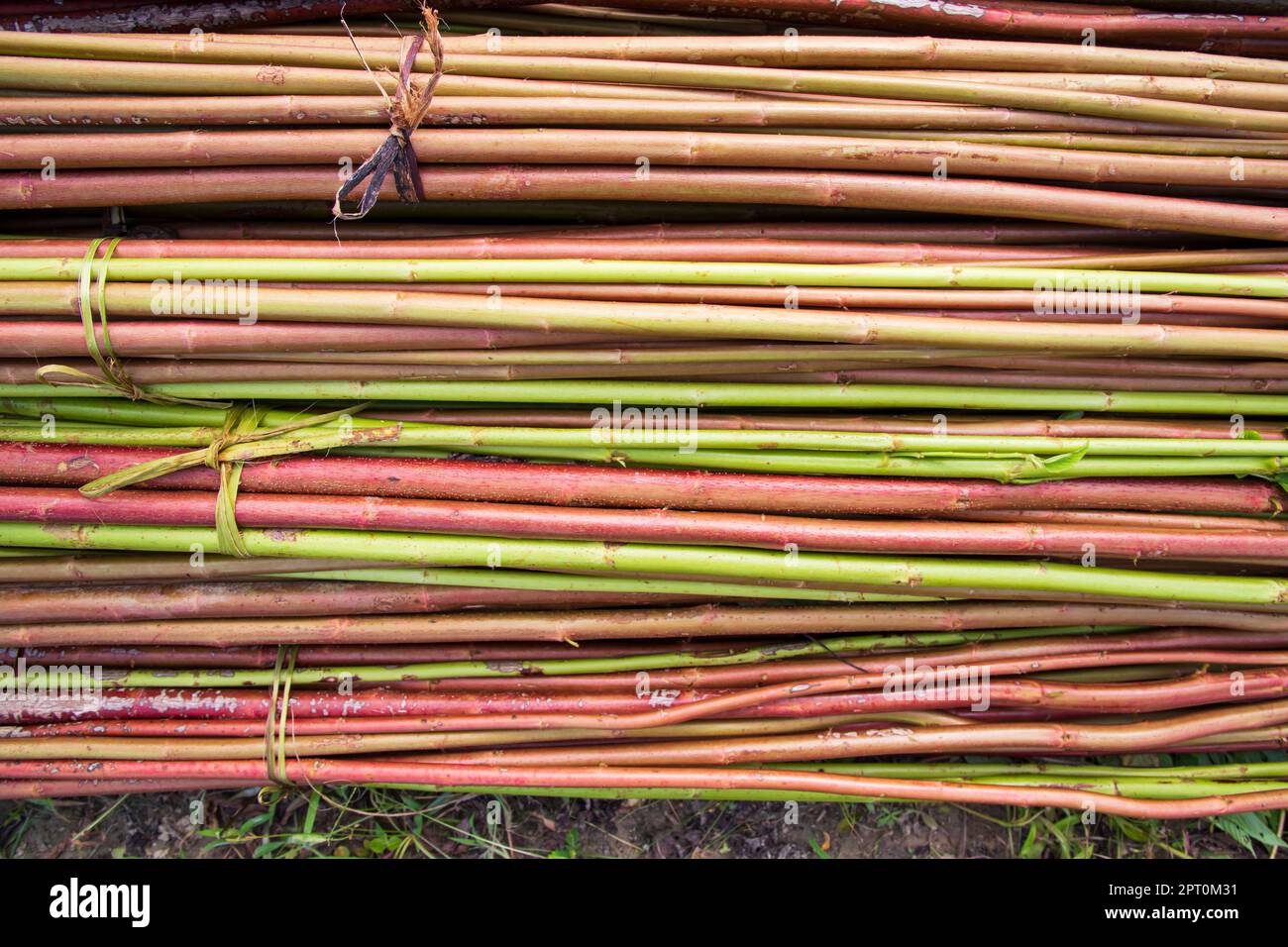 Red Green Raw Jute Texture background. This is the Called Golden Fiber ...