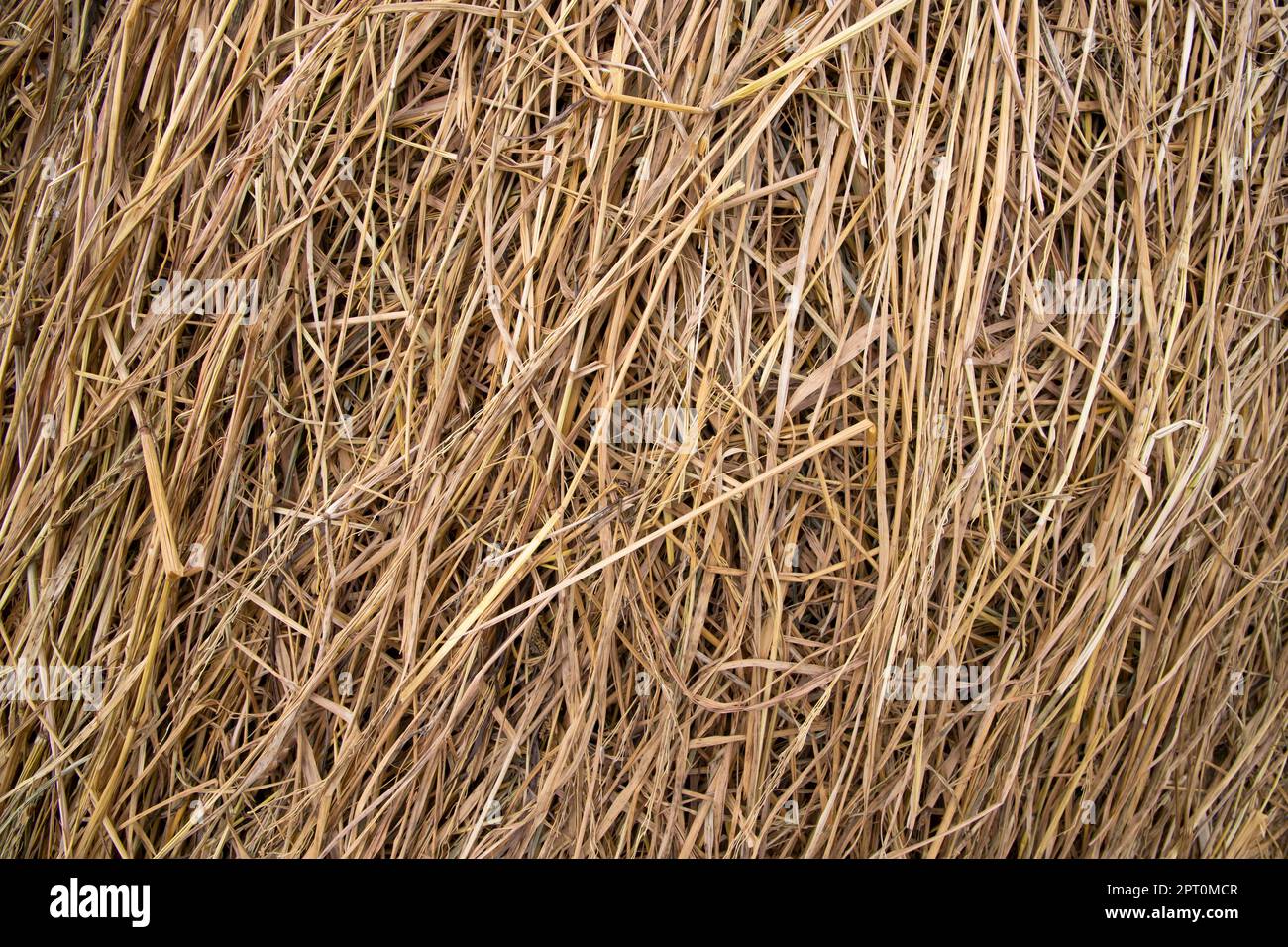 Brown hay, dry hay texture background Stock Photo - Alamy