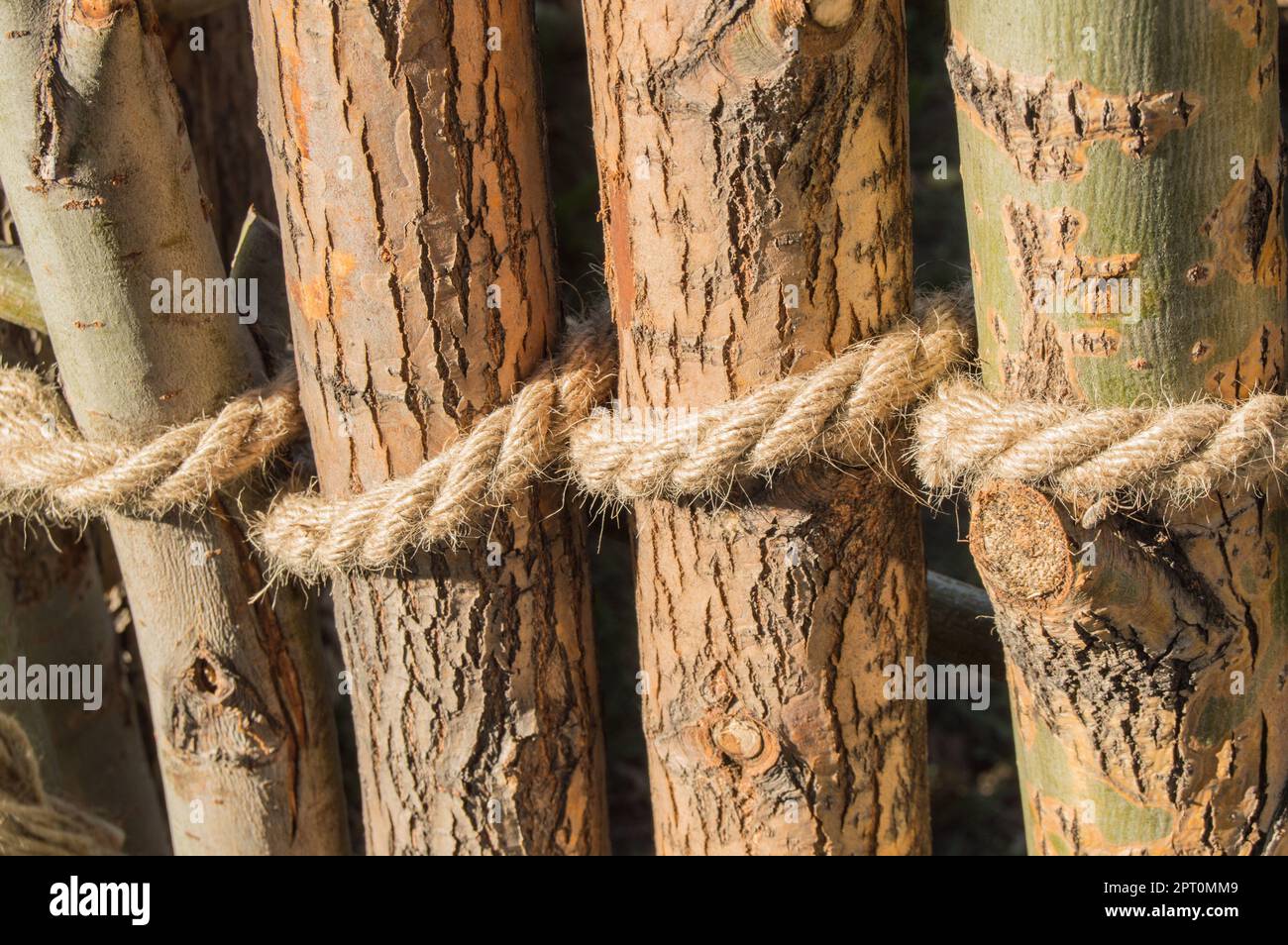 Rope tied in a knot around wooden poles, fence posts. Closeup Stock ...
