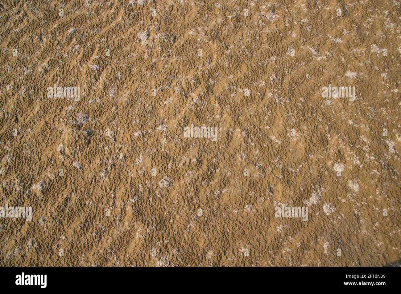 sand texture. wet sand textured background. sand textured beach Stock ...