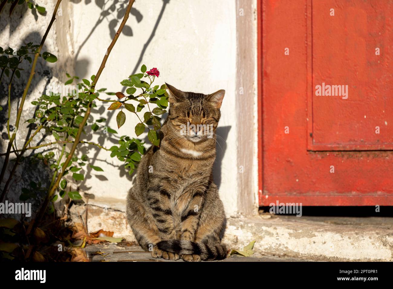 Anafiotika, scenic tiny neighborhood of Athens, part of the old ...