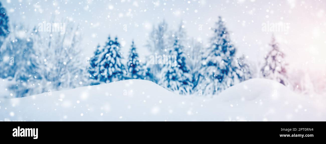 Closeup view of the slope snowdrift in spruce forest in snowfall ...