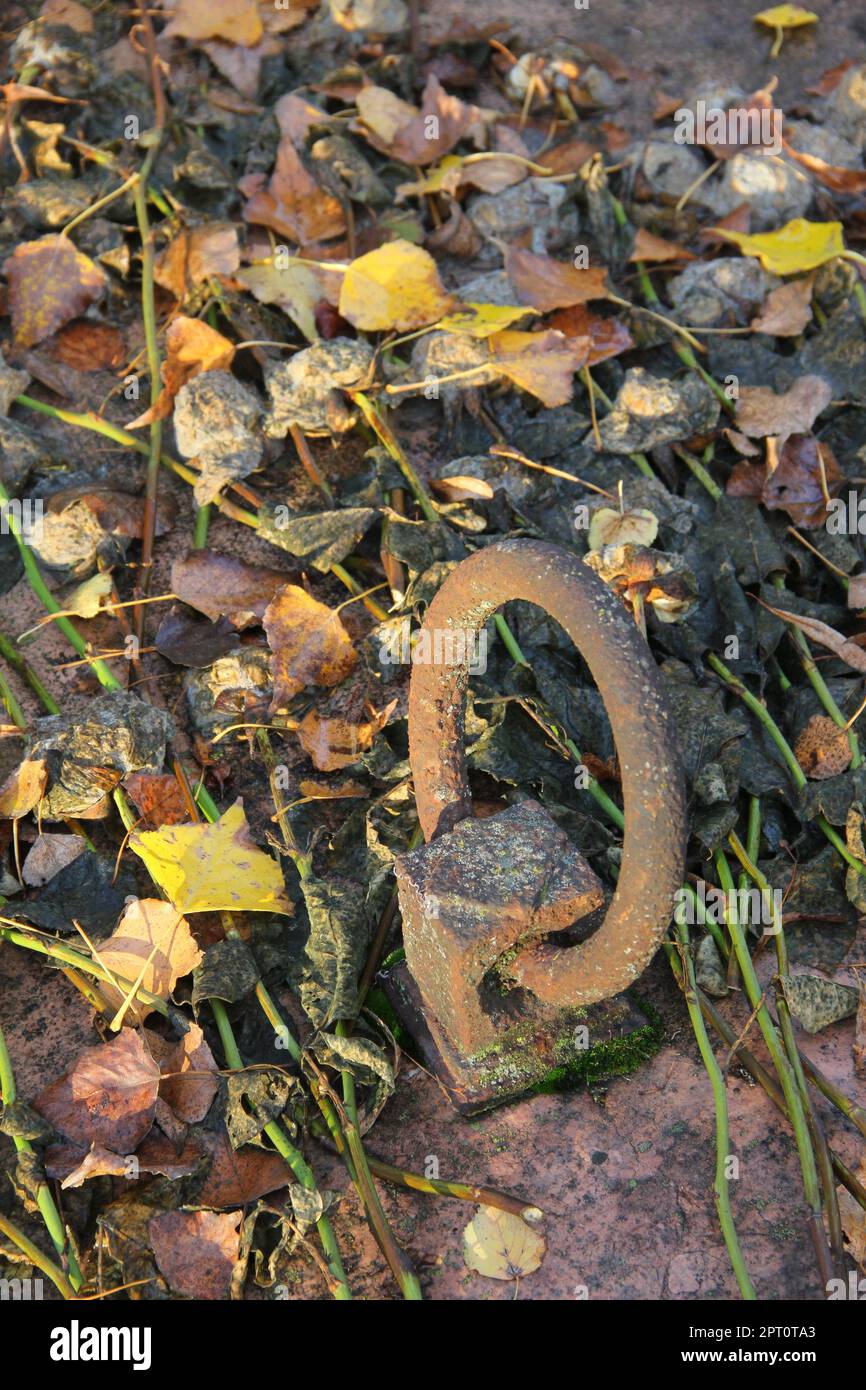 cemetery grave lid rusty handle with withered flowers. High quality ...