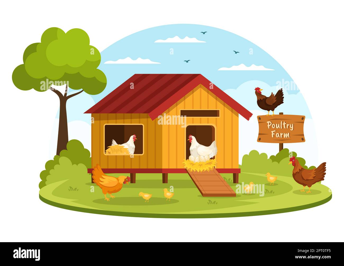 Poultry Farming with Farmer, Cage, Chicken and Egg Farm on Green Field ...