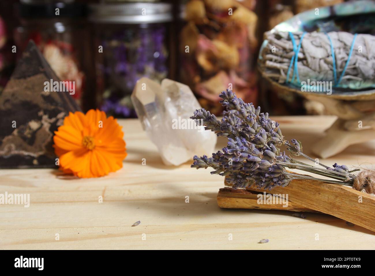 Dried Lavender With Palo Santo Wood and Abalone Shell For Smudging ...
