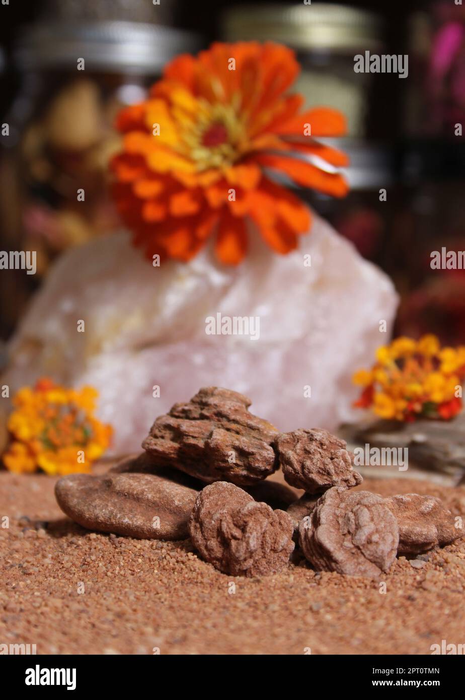Desert Rose Rocks From Oklahoma on Red Sand. Meditation Table Stock ...