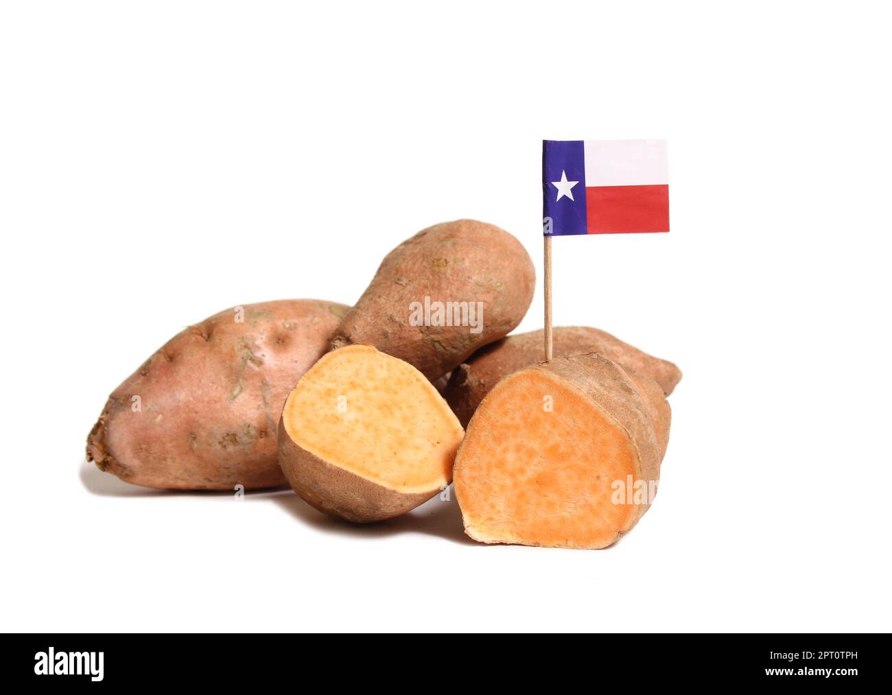 Texas garden Cut Out Stock Images & Pictures - Alamy