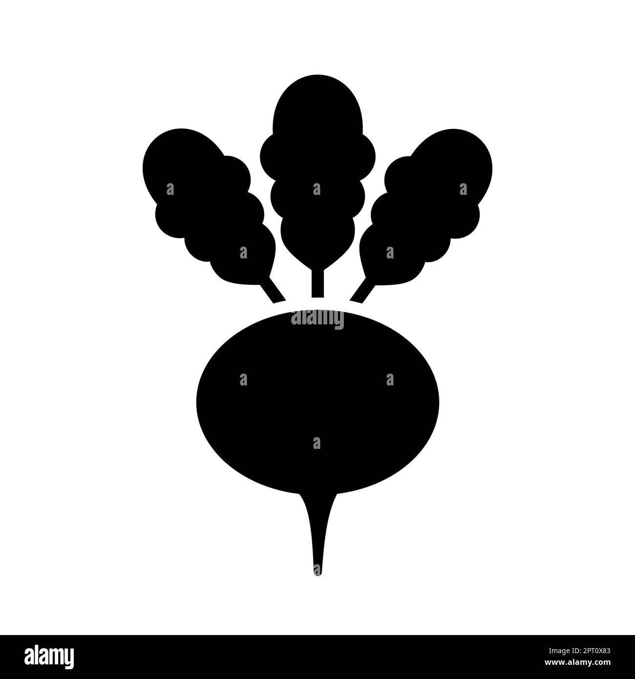 Harvest organic turnip Black and White Stock Photos & Images - Alamy