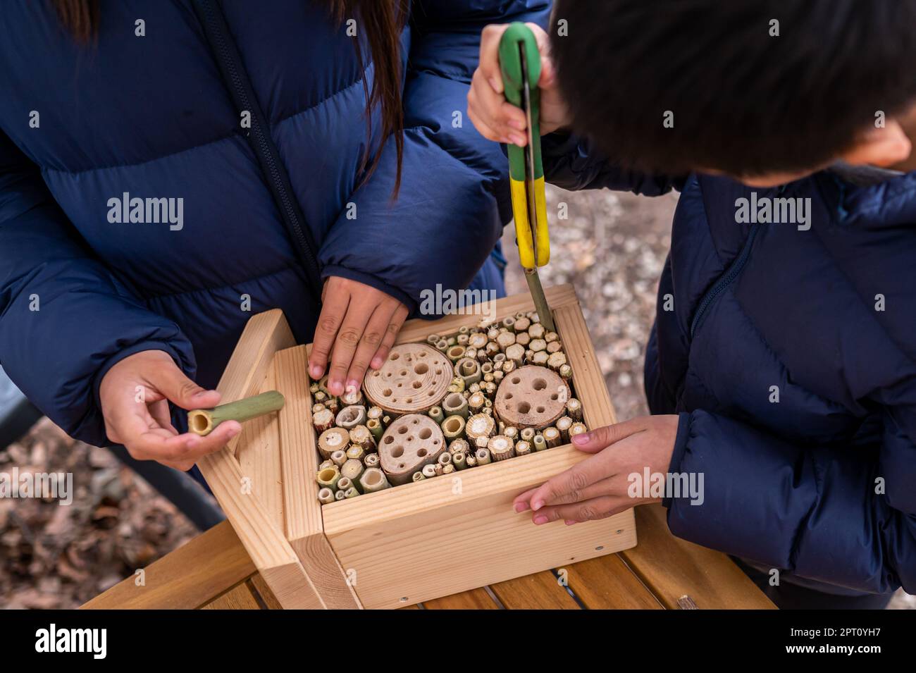 People making wooden insect house. Hands of child making wooden insect ...